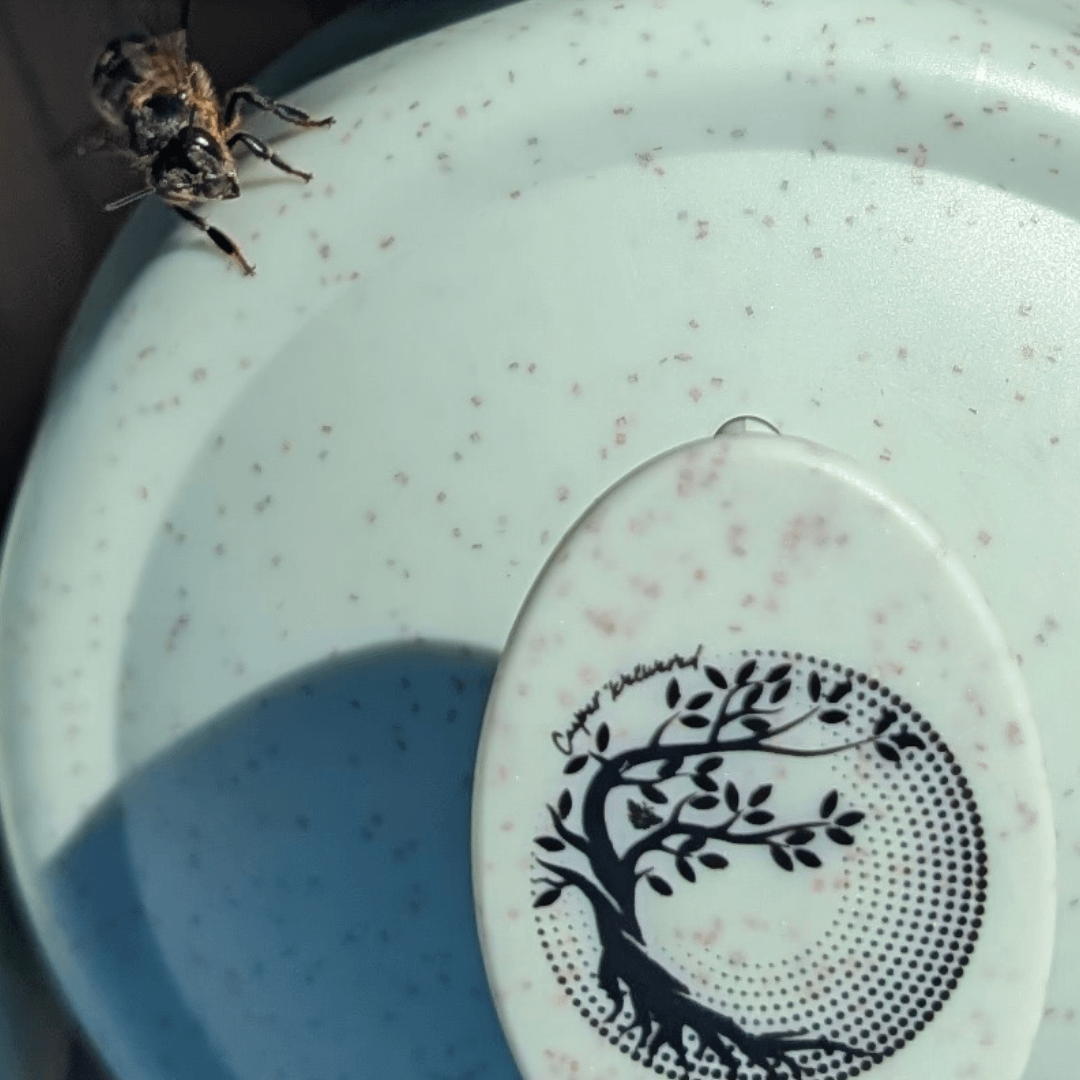 A Love Letter to the Bee - Cooper Delivered