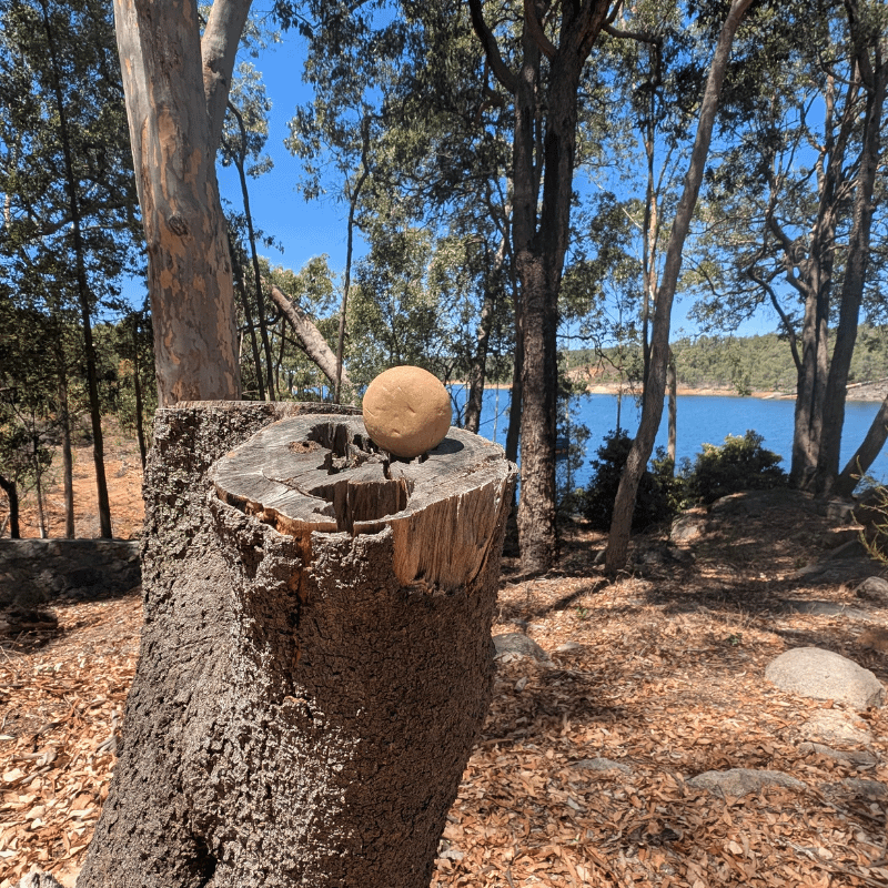 Hydration Shampoo Bar – Cedar Oil & Shea Butter for Dry Hair
